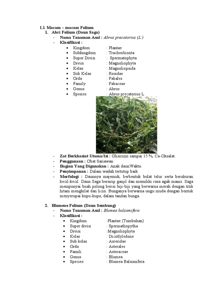 Macam Folium | PDF | Griya & Taman | Kesehatan Holistik