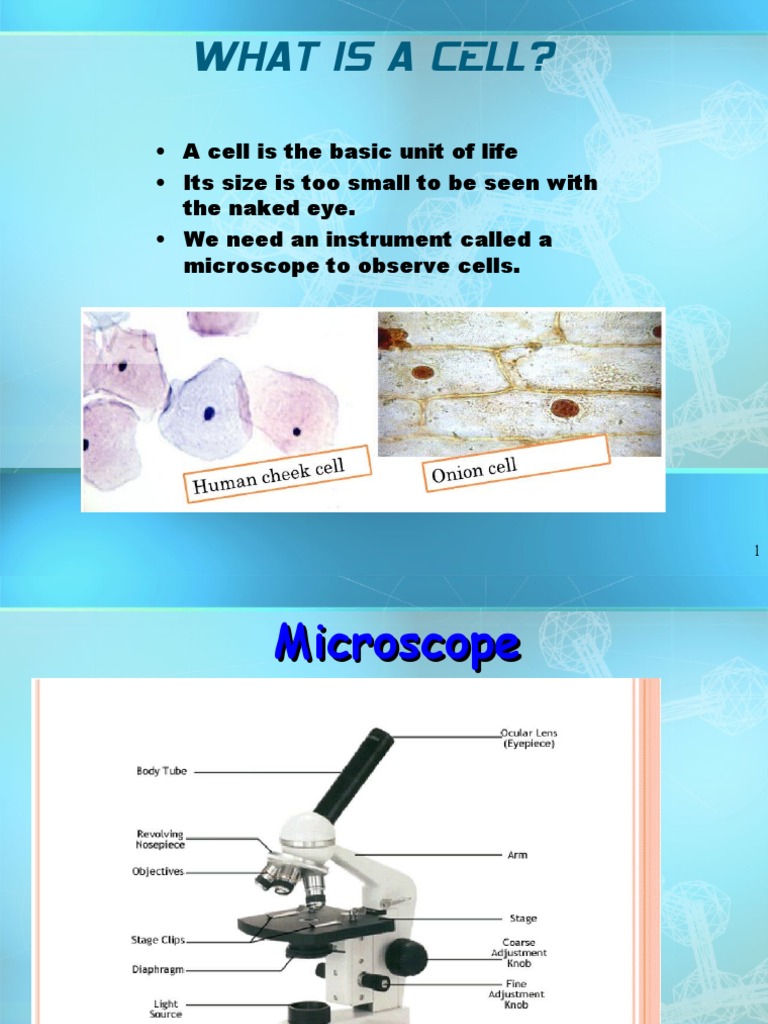 What Is A Cell? | PDF | Cell (Biology) | Endoplasmic Reticulum