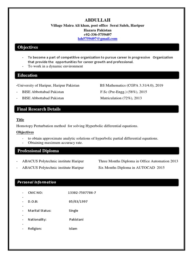 Abdullah's Professional Resume | PDF