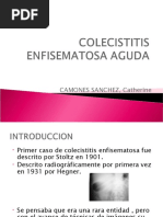 Cápsula de Glisson | PDF | Tejido adiposo | Riñón