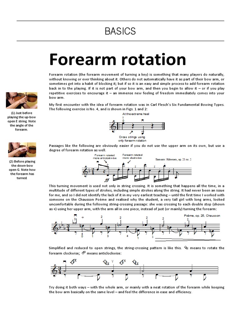 262 April 2013 Forearm Rotation PDF | PDF | Anatomical Terms Of Motion ...