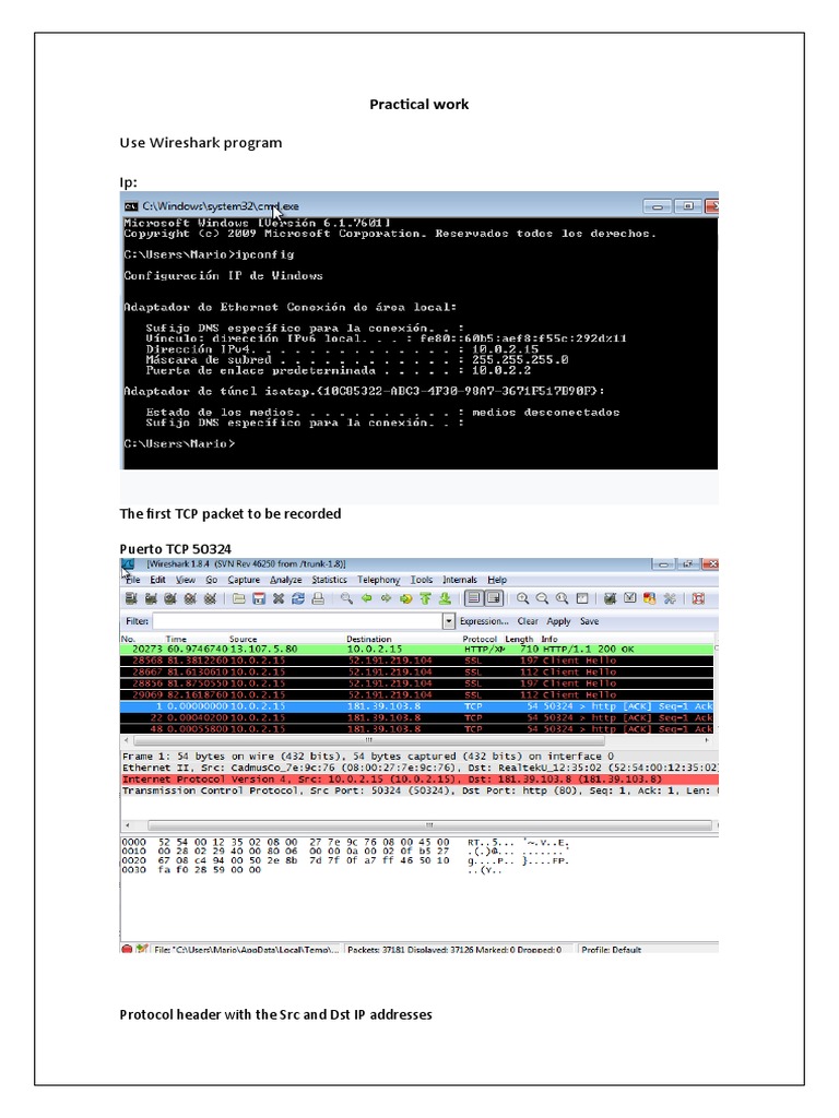 Use Wireshark Program Ip:: Practical Work | PDF
