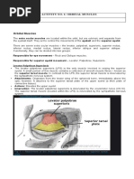Mnemonic For Eye | PDF