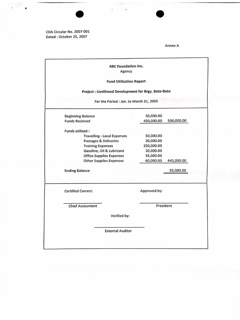 Fund Utilization Report (Sample) | PDF