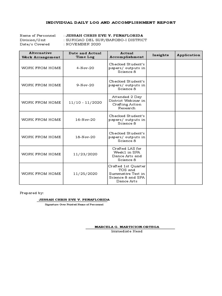 Individual Daily Log and Accomplishment Report | PDF | Business