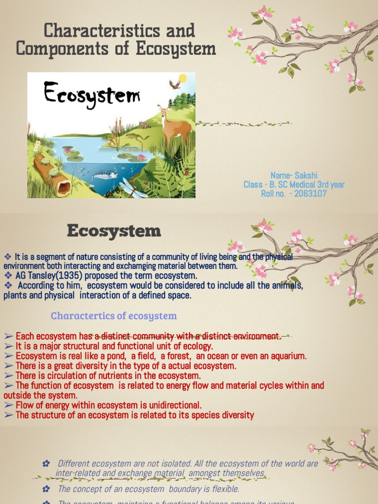 Ecosystem PDF | PDF | Ecosystem | Herbivore
