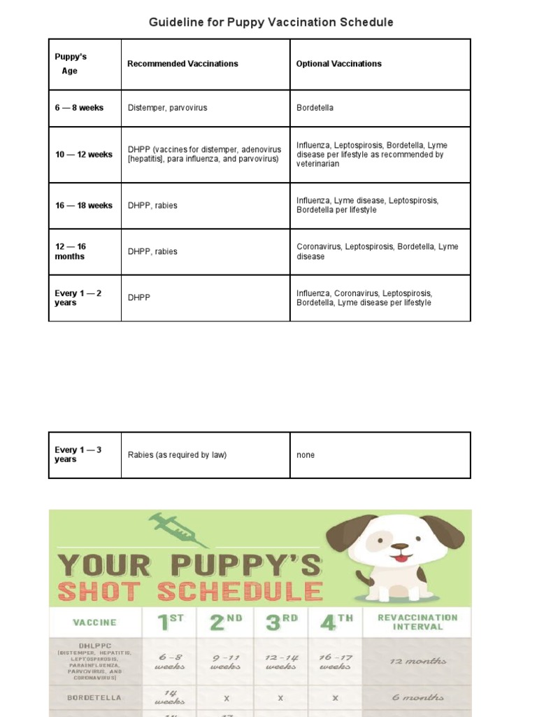 Guideline For Puppy Vaccination Schedule | PDF