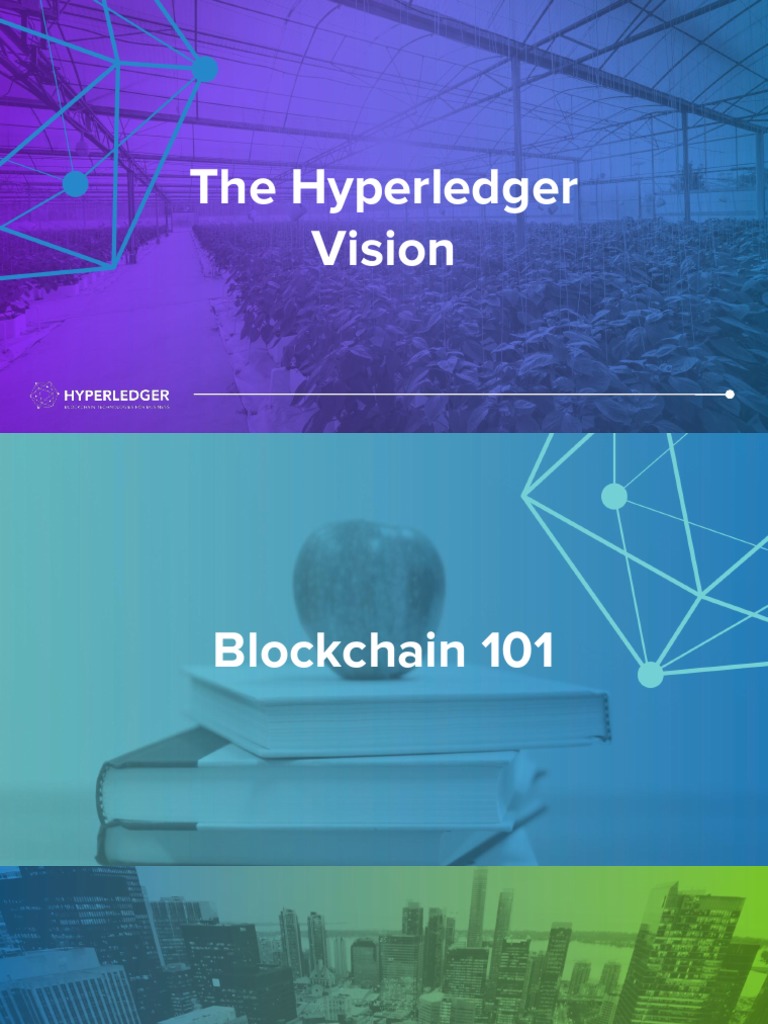The Hyperledger - Vision Presentation | PDF | Computer Science | Computing