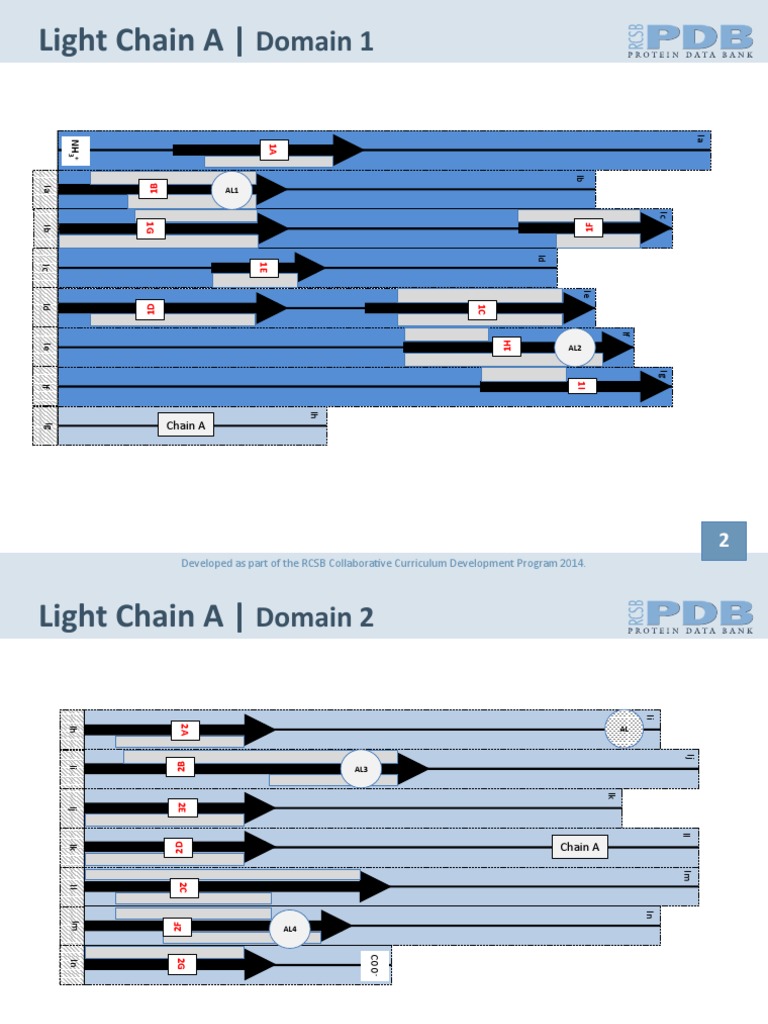 Light and Heavy Chain Structures | PDF | Aircraft