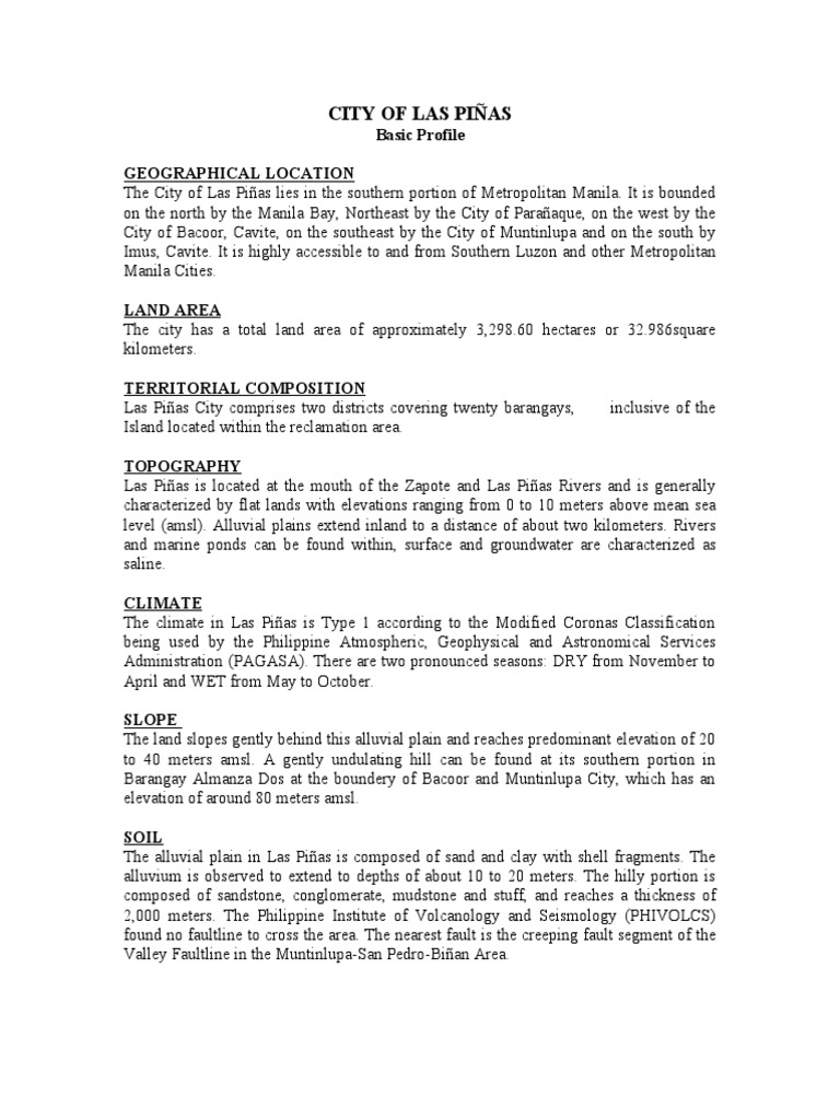 CITY OF LAS PIÑAS Basic Profile | PDF