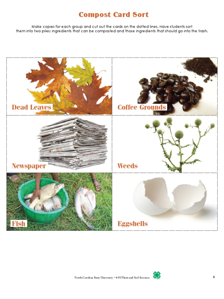 Compost Card Sort Activity Guide | PDF | Cooking, Food & Wine | Wellness