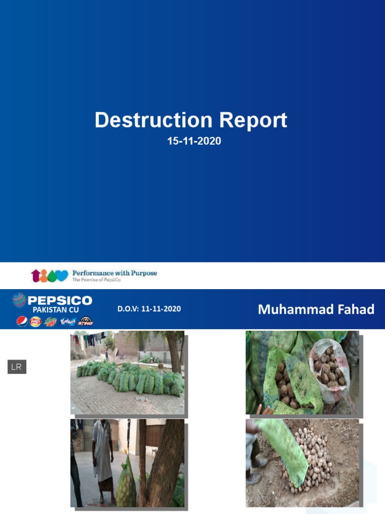 Destruction Report: Document Title Goes Here 1 | PDF