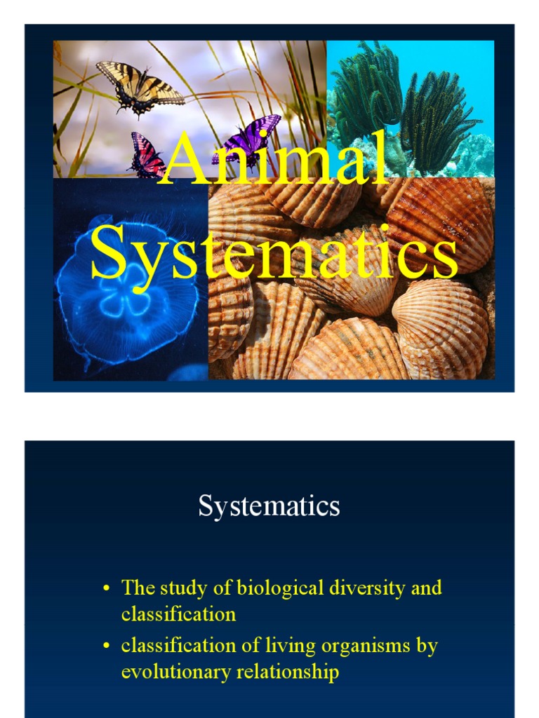 Animal Systematics | PDF | Mollusca | Biology