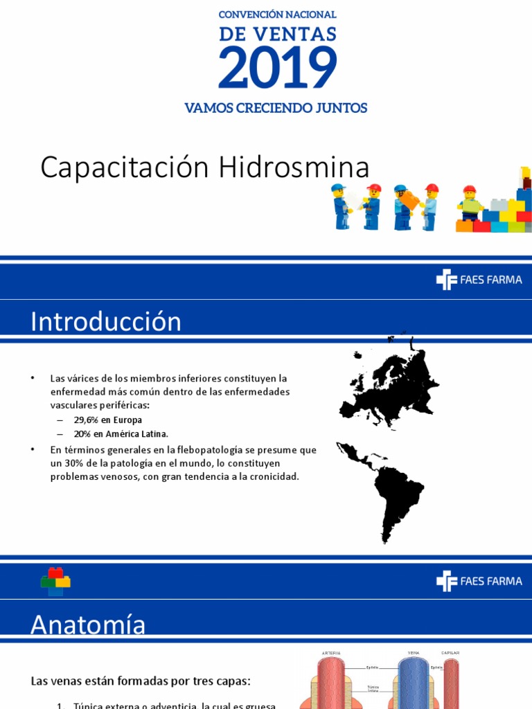 Módulo de Capacitación Hidrosmina 2019 PDF | PDF | Vena | Sistema ...