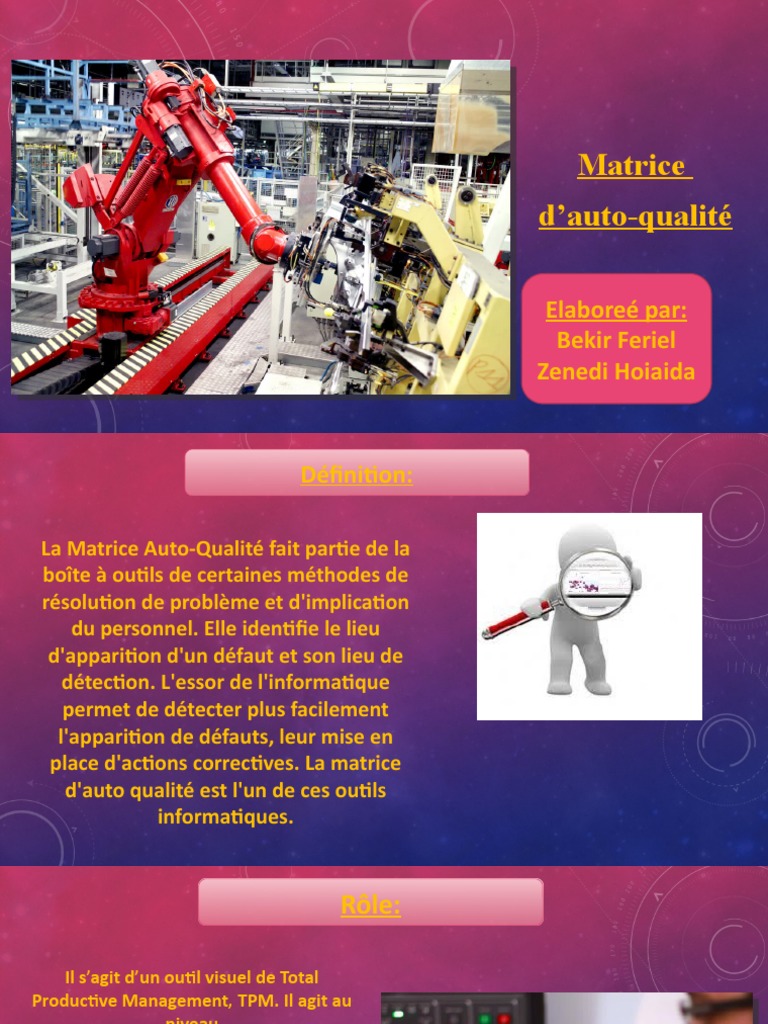 Matrice D'auto-Qualité: Elaboreé Par: Bekir Feriel Zenedi Hoiaida | PDF
