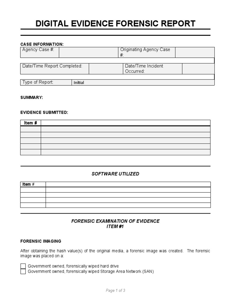 Digital Evidence Forensic Report | PDF