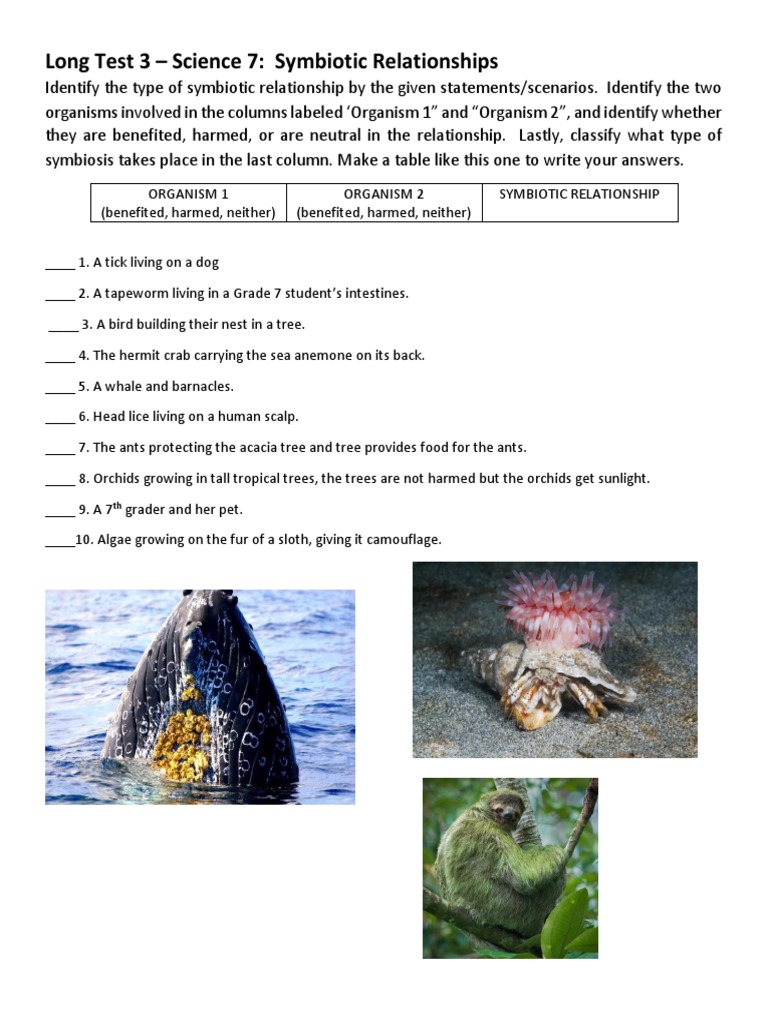 Symbiotic Relationships in Science 7 | PDF