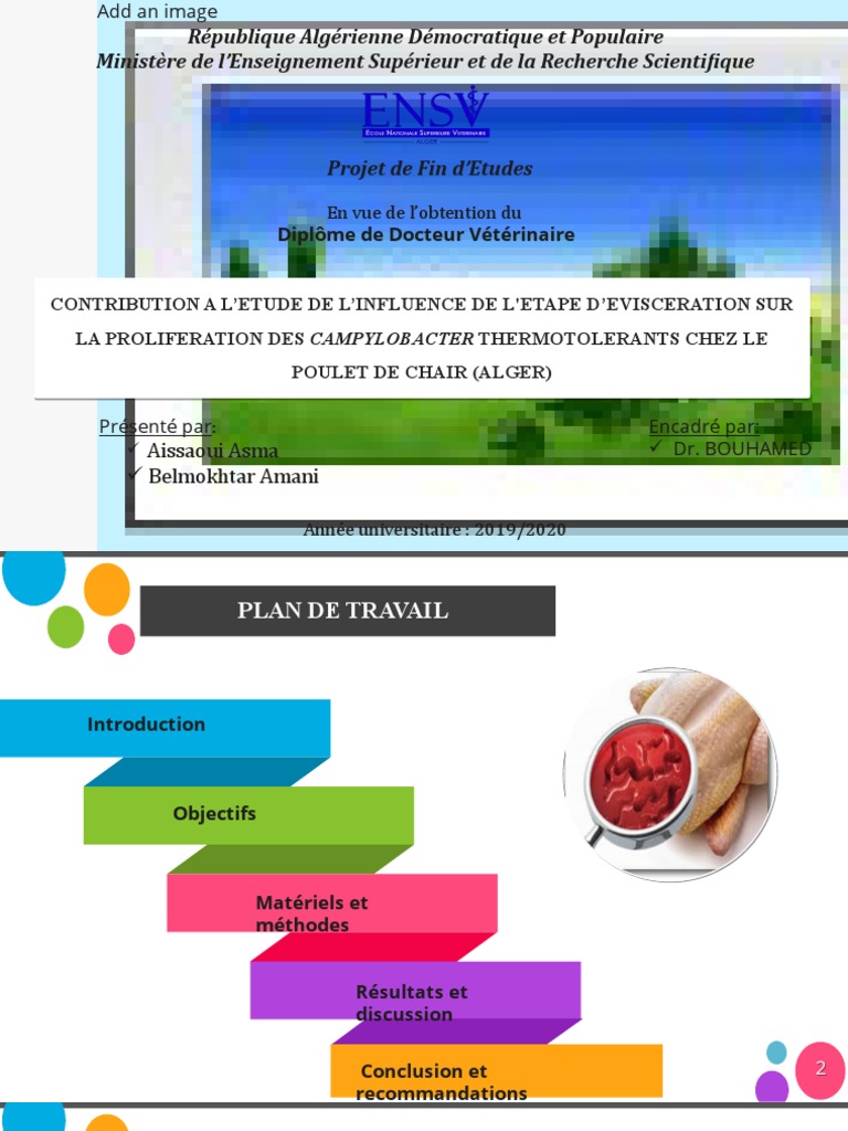 Final PFE + MASTER Amani Et Asma 07-11-2020 | PDF | Biologie | Prokaryota