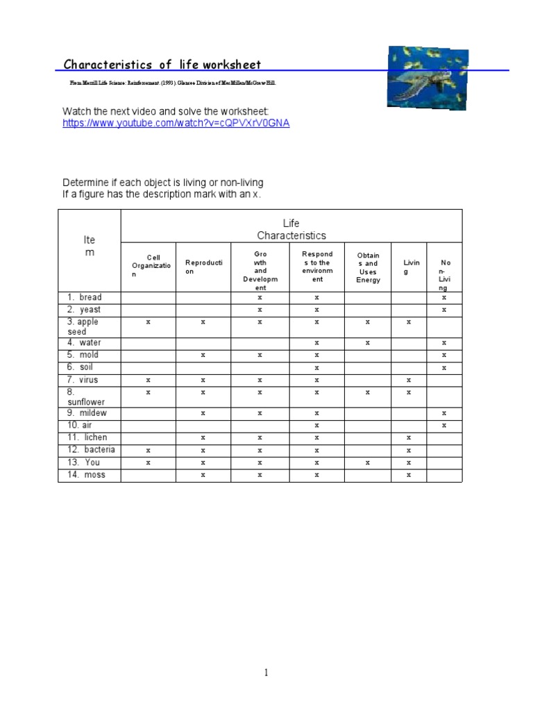 Characteristics of Life Worksheet Guide | PDF | Organisms | Life