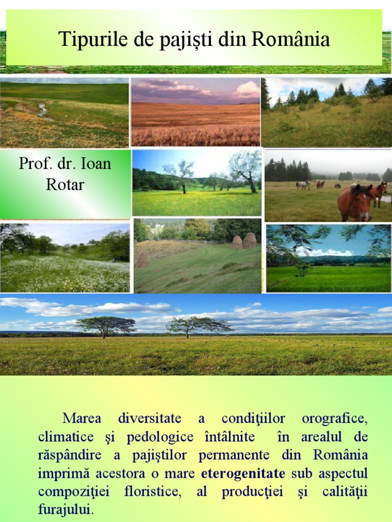 Curs 6 - Principalele Tipuri de Pajisti | PDF