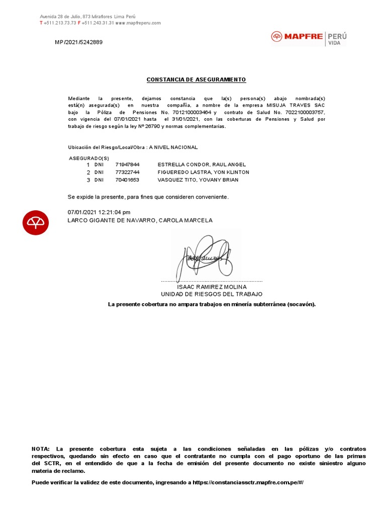 Constancia SCTR PV | PDF