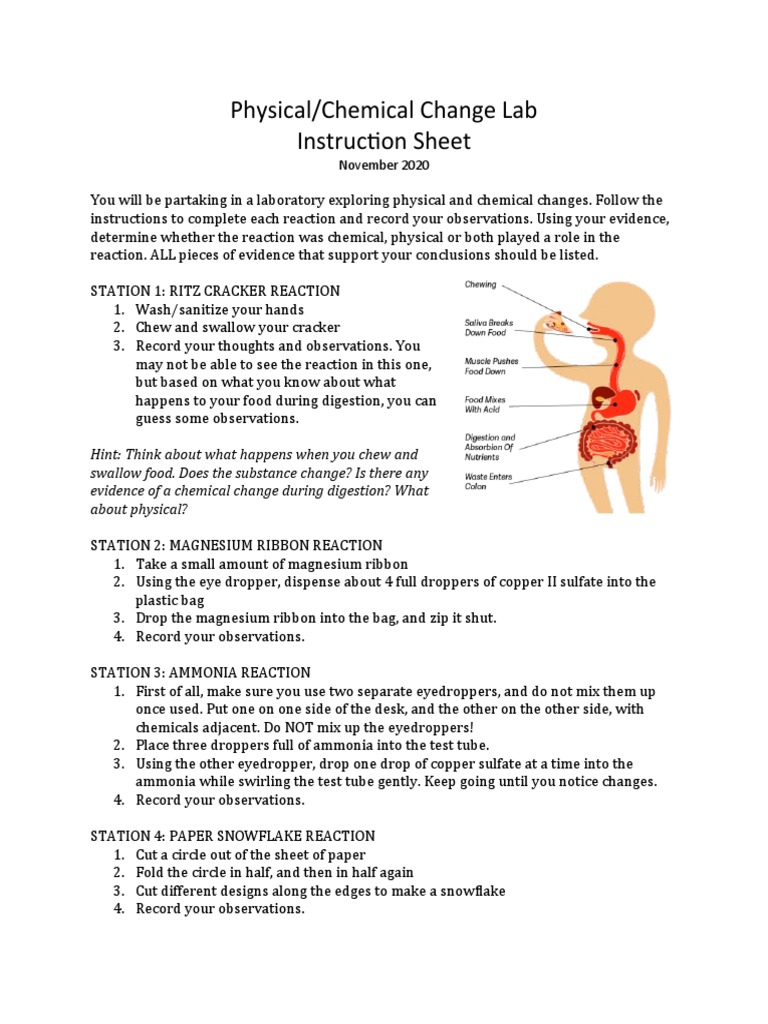 Physical or Chemical Change Lab Worksheet | PDF | Sodium Hydroxide ...