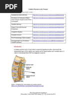 Anesthesia ITE Study Notes | PDF | Blood Type | Exhalation