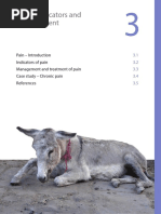 CSU Canine Acute Pain Scale Guide | PDF | Pain | Diseases And Disorders