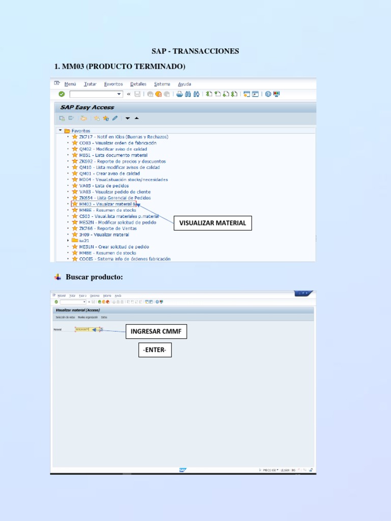 Sap - Transacciones 1. Mm03 (Producto Terminado) | PDF | Informática ...