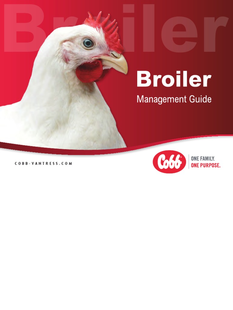 Broiler Guide R1 | PDF | Thermal Insulation | Nature