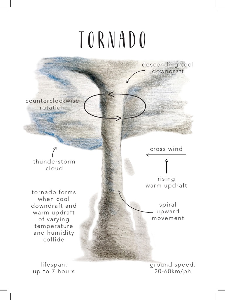 Tornado Anatomy | PDF
