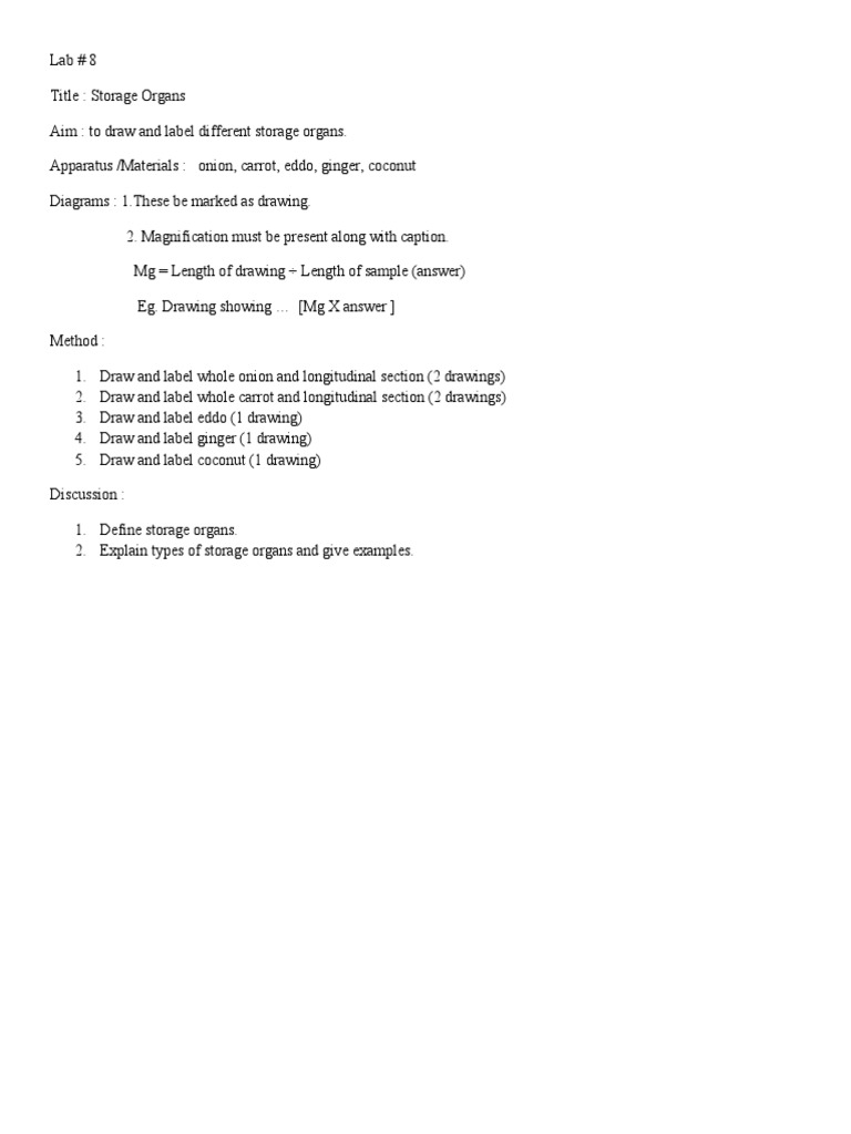 Storage Organs Lab 8 | PDF