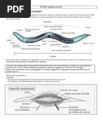 Cour Et Bilan Ppse Et Ppsi Sommation Temporelle Et Spatial | PDF ...