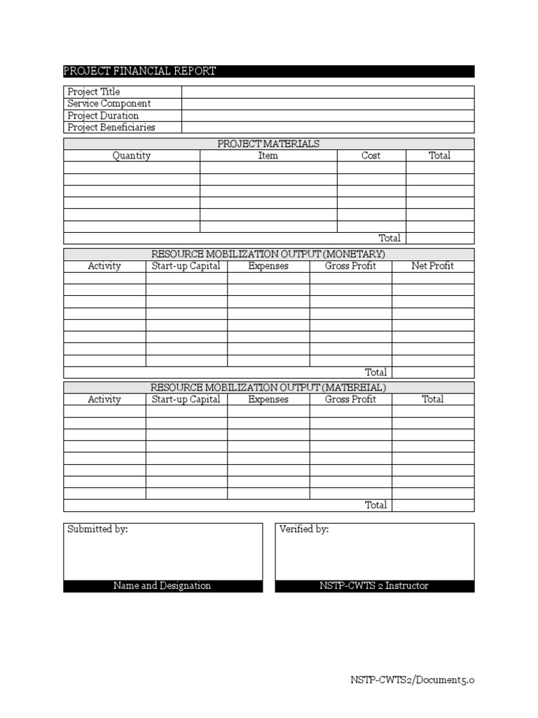 Project Financial Report Summary | PDF
