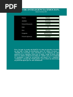 EPQ-R - Formato en Excel | PDF | Cuestionario