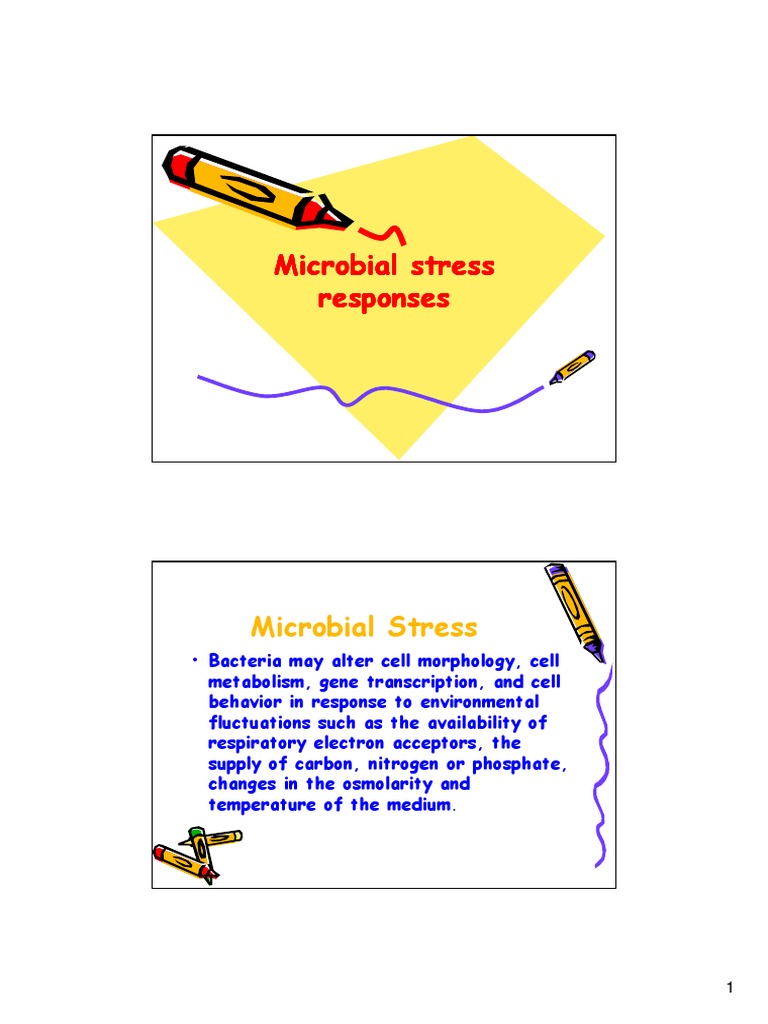 Microbial Stress Responses and Regulation | PDF | Cellular Respiration ...