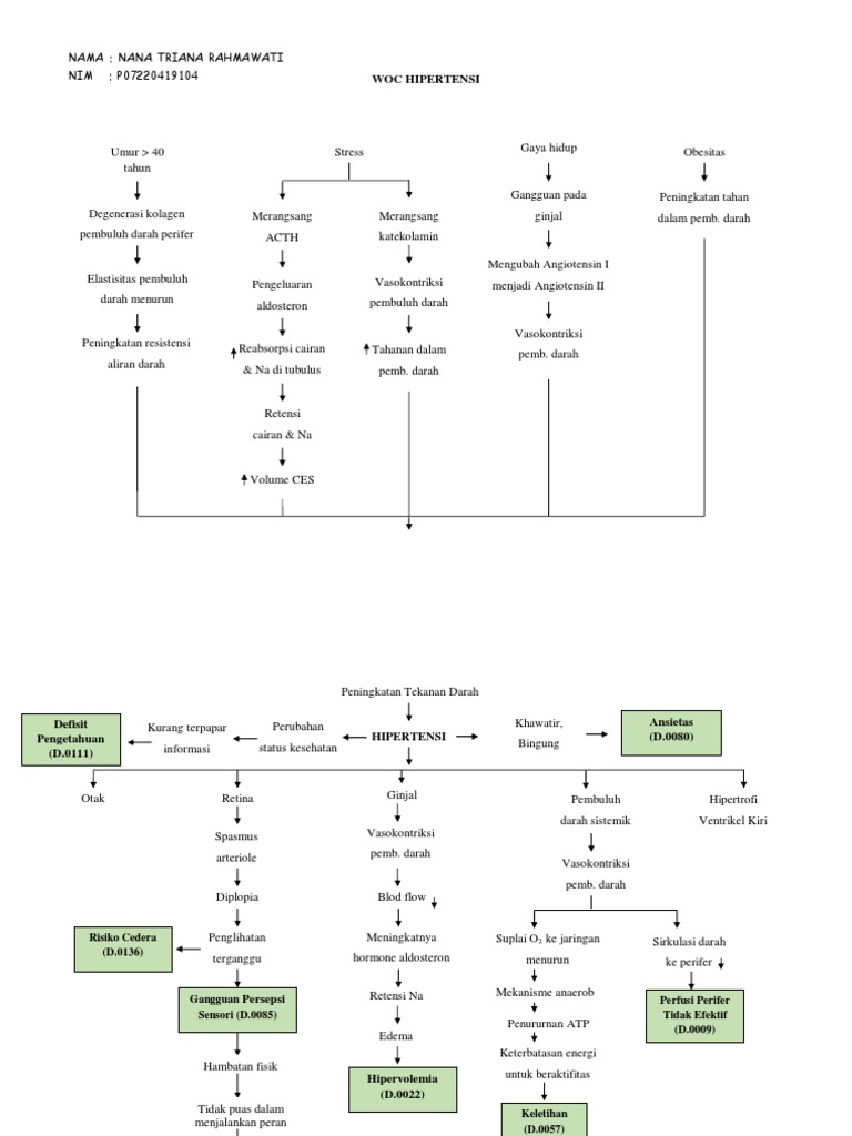 Woc Hipertensi | PDF