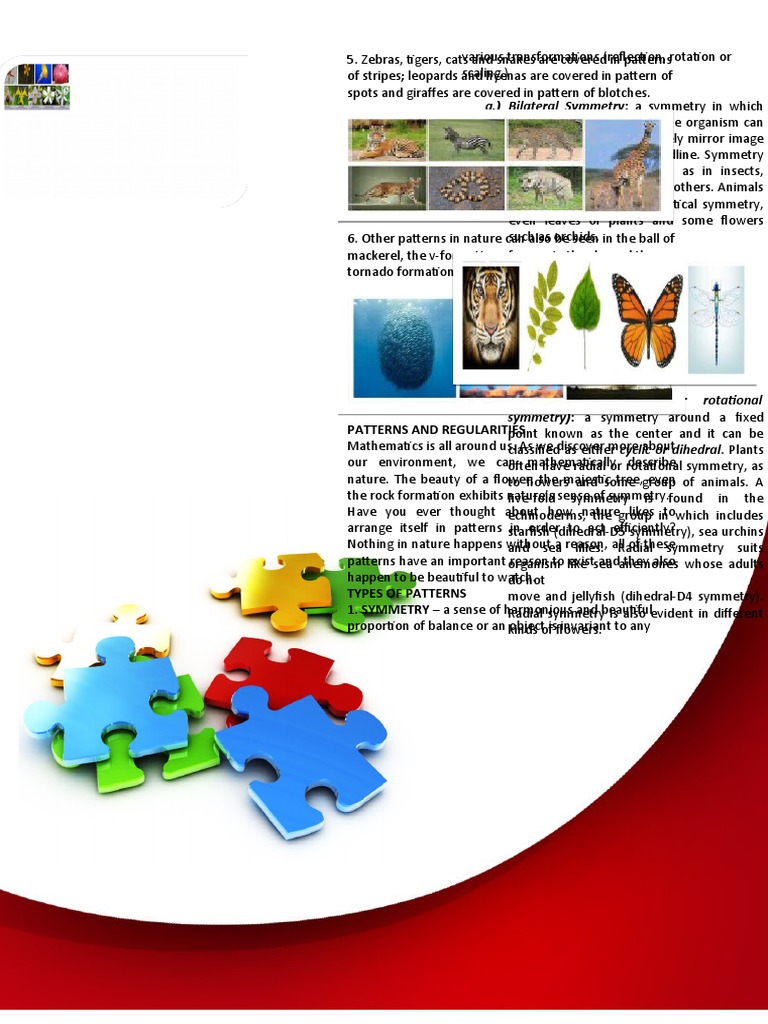 A.) Bilateral Symmetry: A Symmetry in Which: Patterns and Regularities ...