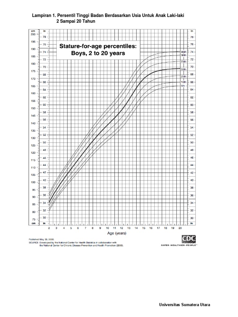 Persentil TD Anak | PDF