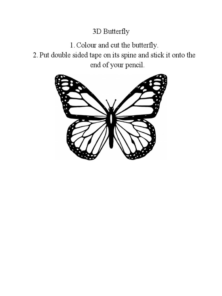 3D Butterfly | PDF