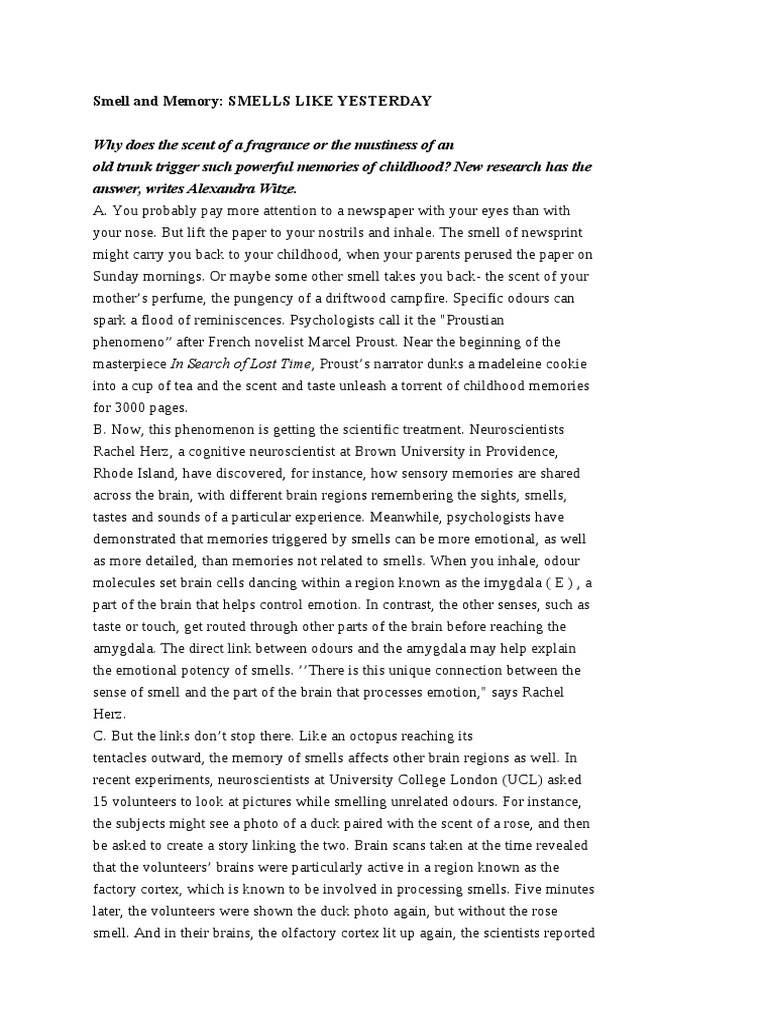 Smell and Memory | PDF | Odor | Olfaction