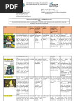 Flork: Cómic Viral y Protesta Cubana | PDF | Cuba