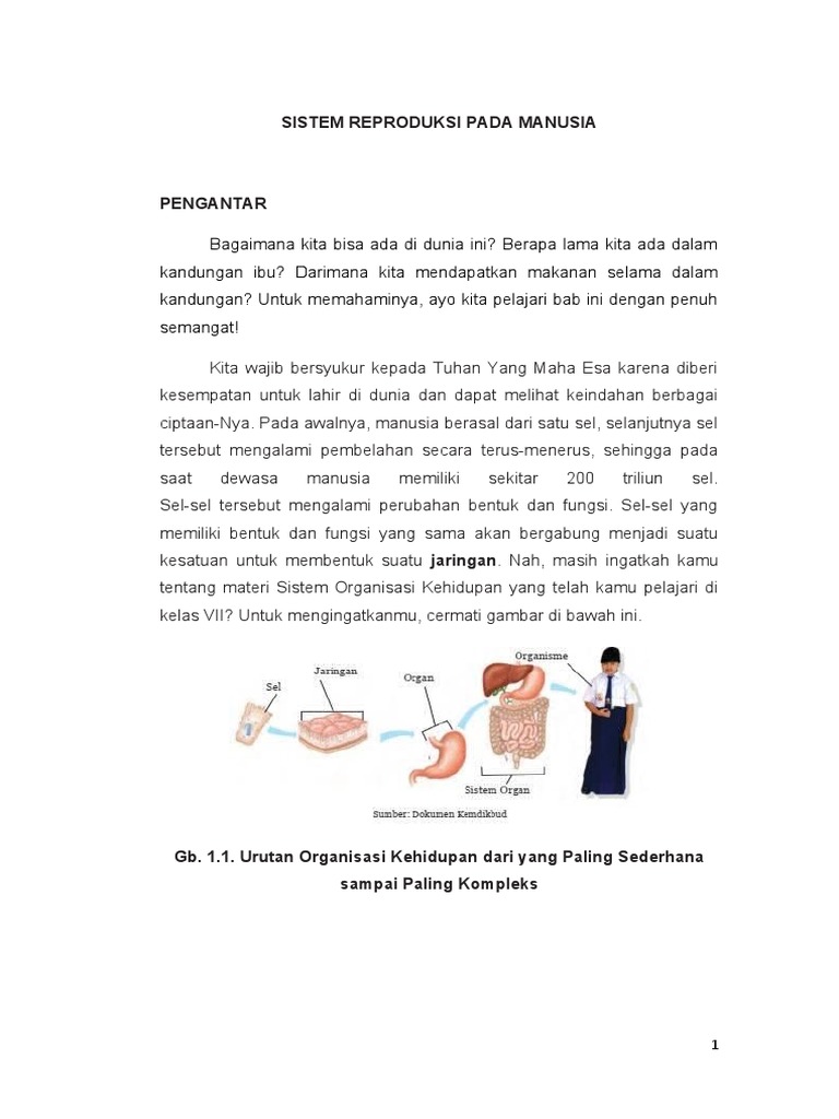 Bahan Ajar Sistem Reproduksi | PDF