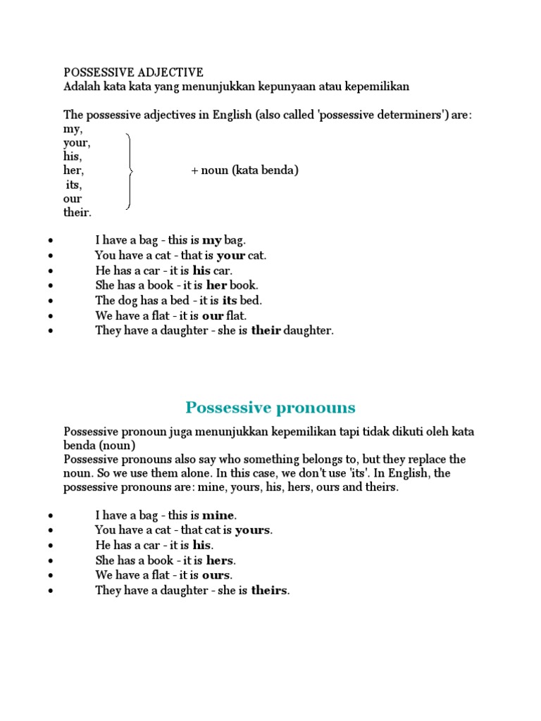 POSSESSIVE ADJECTIVE and POSSESSIVE PRONOUN | PDF