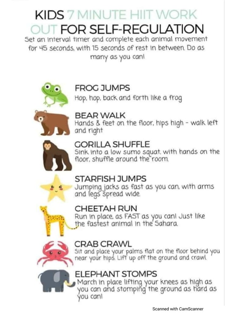7 Minute Hiit For Kids PDF | PDF