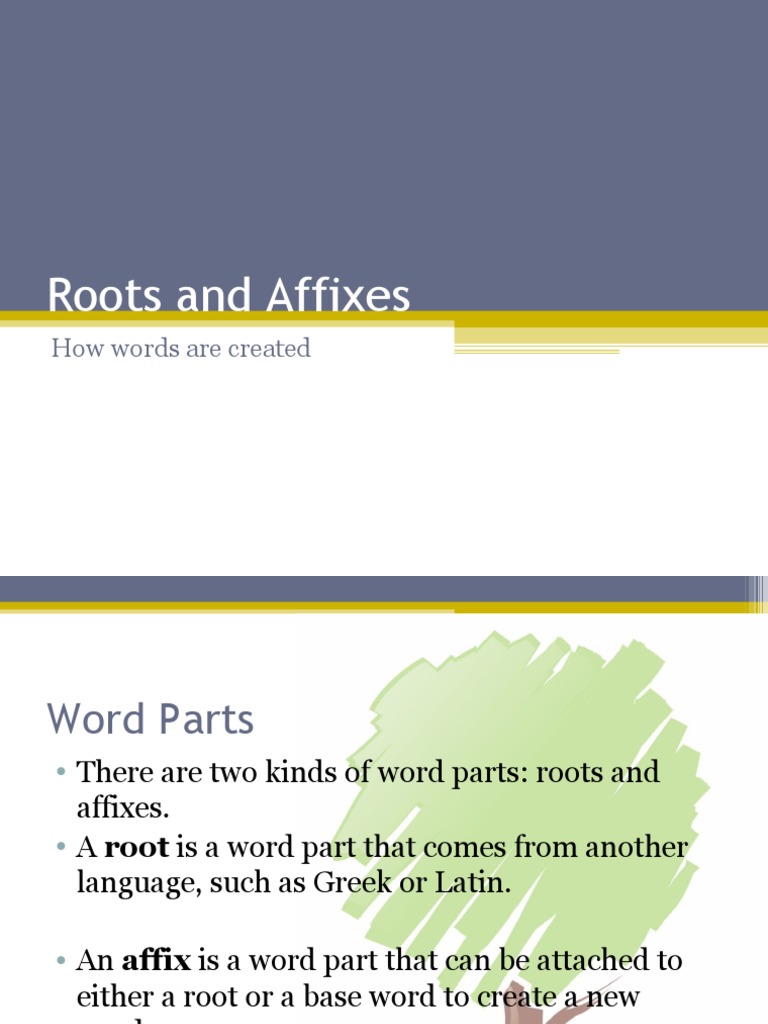 Roots and Affixes: How Words Are Created | PDF | Linguistic Morphology ...