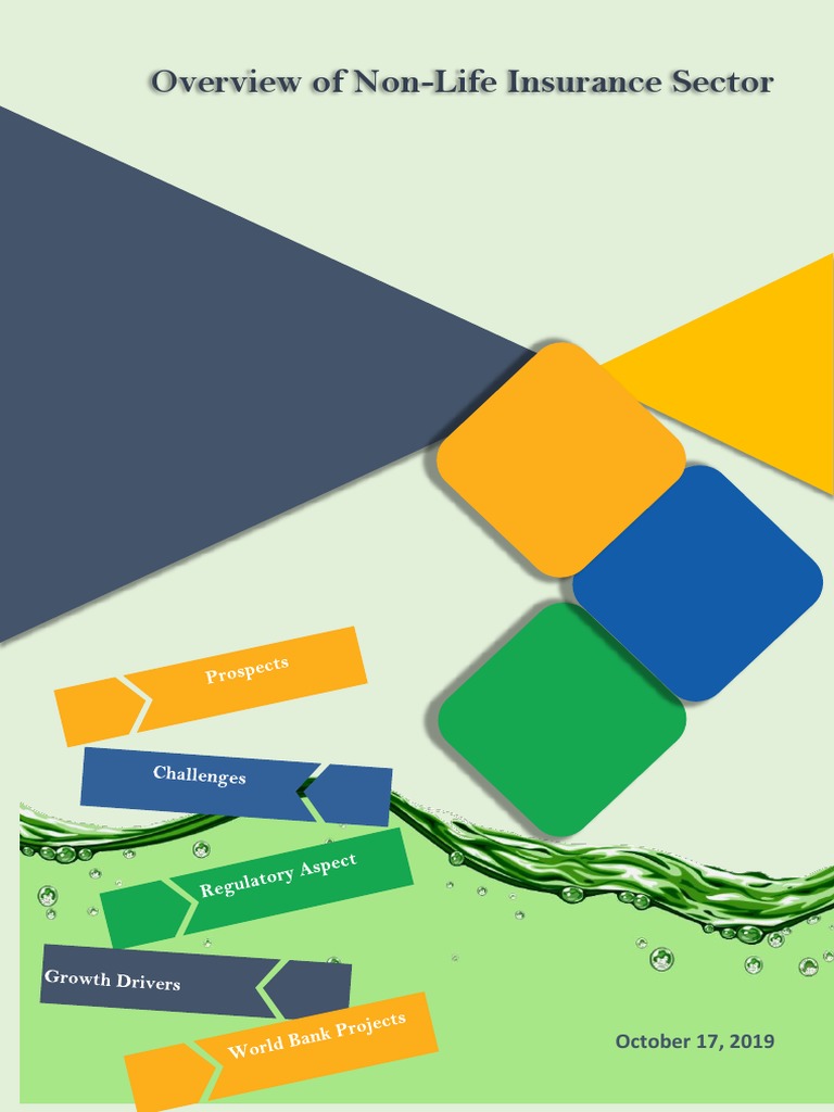 Overview of Non-Life Insurance Sector: October 17, 2019 | PDF ...