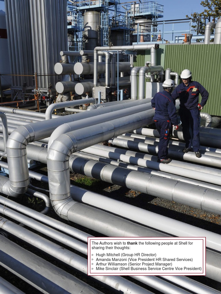 Shell Case Study PDF | PDF | Royal Dutch Shell | Governance