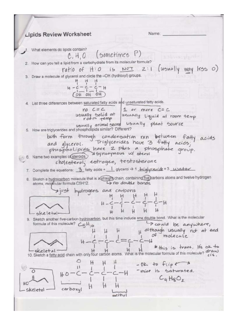 Lipids Worksheet Quiz & Worksheet Function & Structure Of Fats