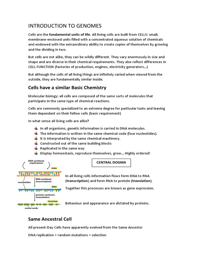 Introduction To Genomes | PDF | Gene | Genome